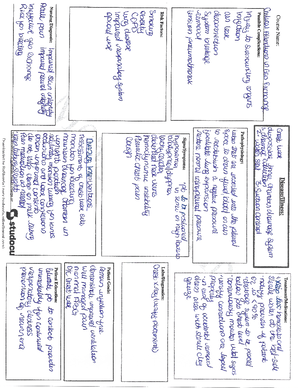 Sepsis Concept Map-Basic - NUR-212 - Studocu