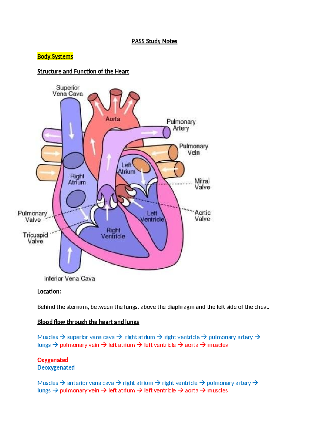 PASS Study Notes - PASS Study Notes Body Systems Structure and Function ...
