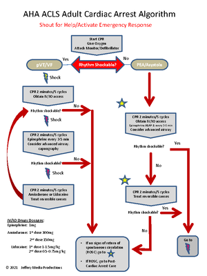 Brady Algorithm - Reference material - AHA ACLS Adult Bradycardia ...