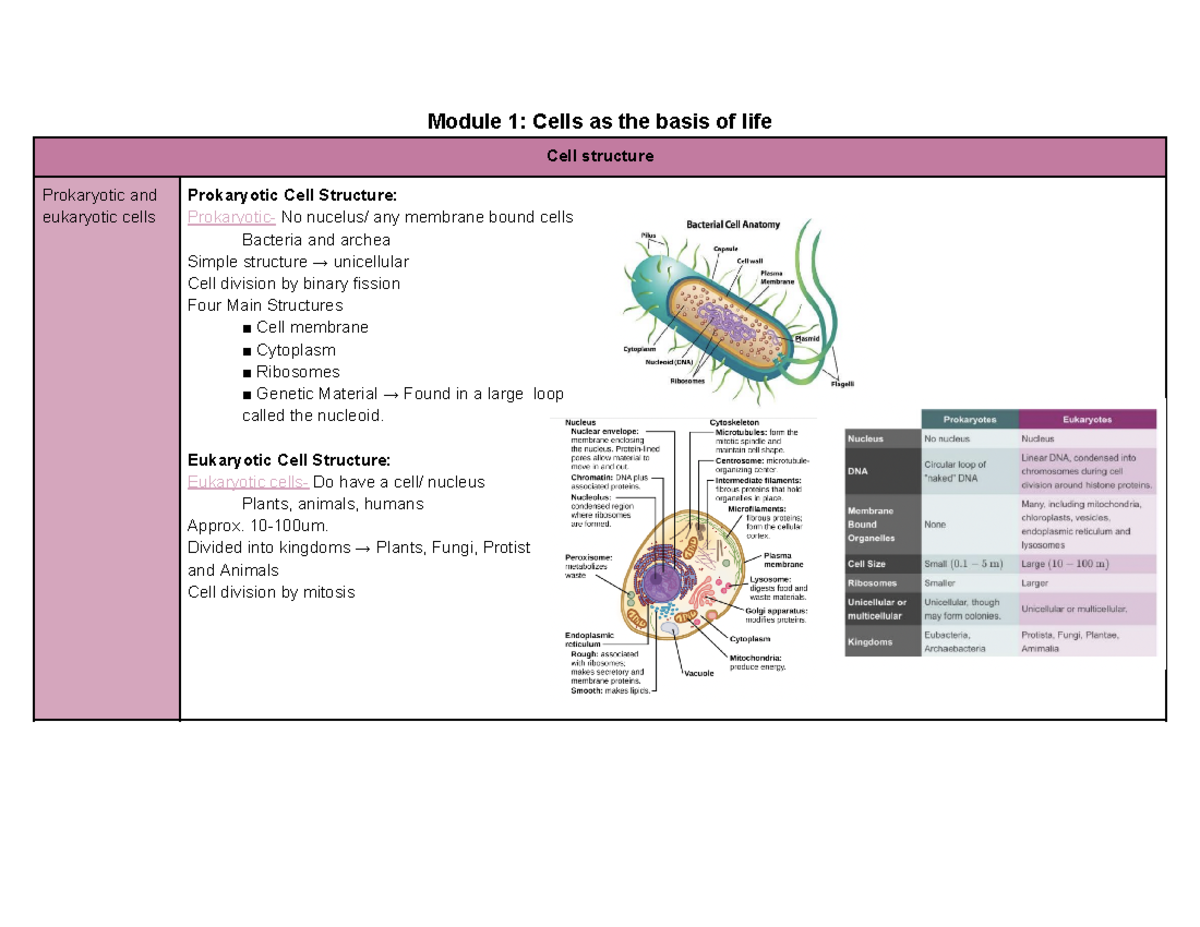 Biology Prelim notes- Whole syllabus - Module 1: Cells as the basis of ...