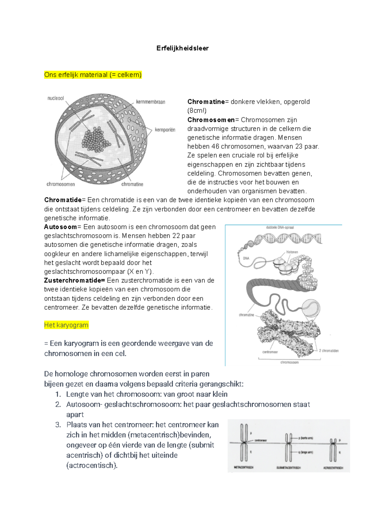 Erfelijkheidsleer - Erfelijkheidsleer Ons erfelijk materiaal (= celkern ...