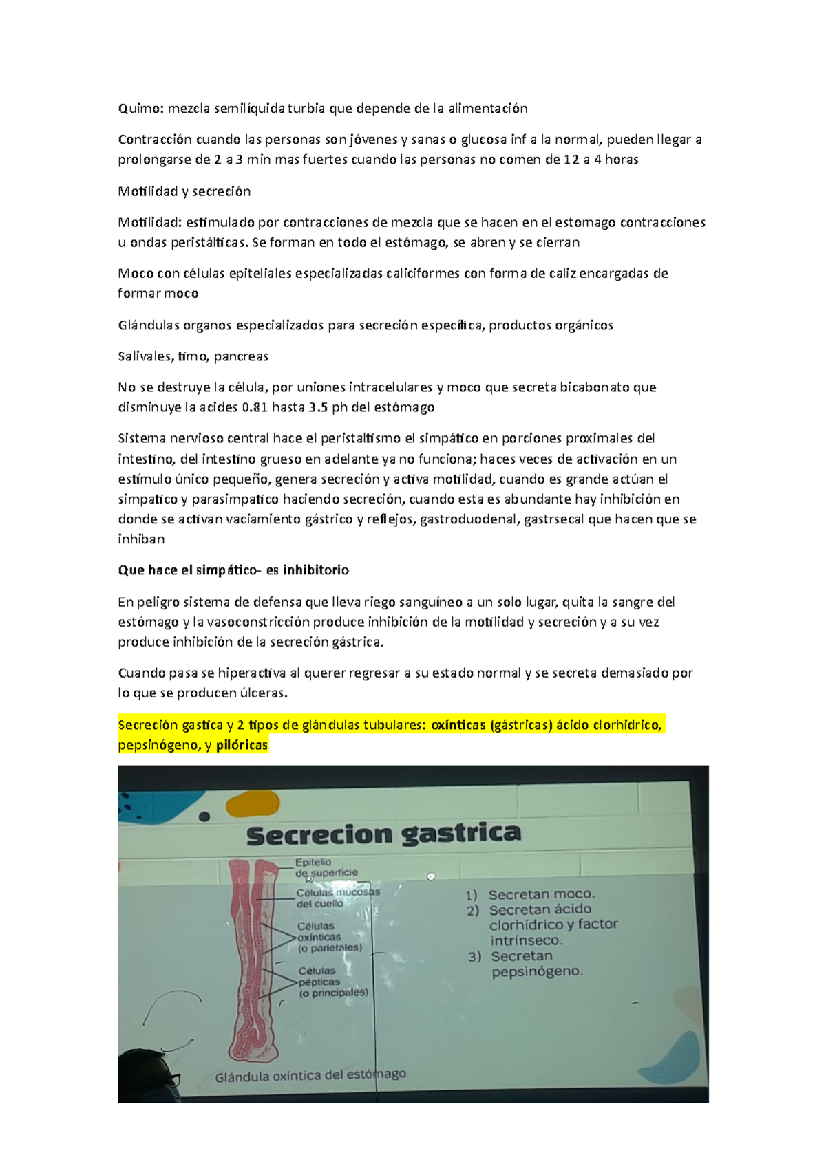 Resumen de la Fisiologís del estómago con respecto a su Morfofunción ...