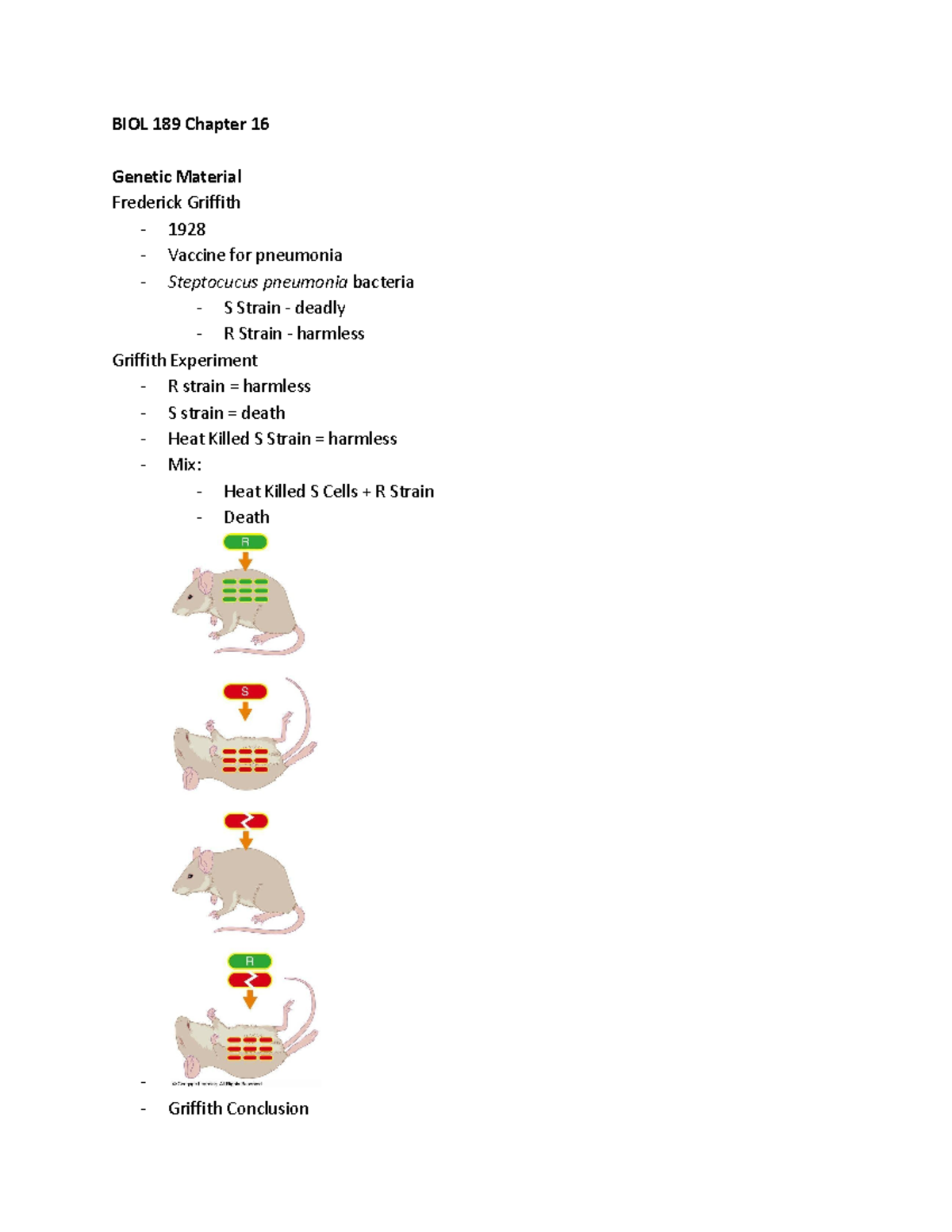 BIOL 189 Chapter 16 - BIOL 189 Chapter 16 Genetic Material Frederick Griffith - 1928 - Vaccine ...