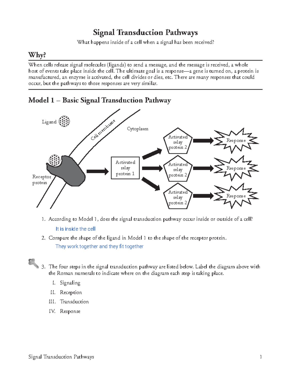 13 Signal Transduction Pathways-S - The ultimate goal is a response—a ...