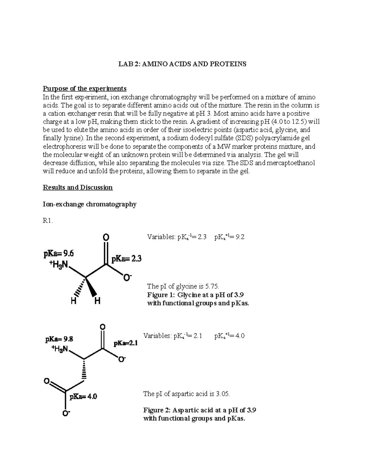 Lab 2: Amino acids and proteins ( intro to biochem) - LAB 2: AMINO ...
