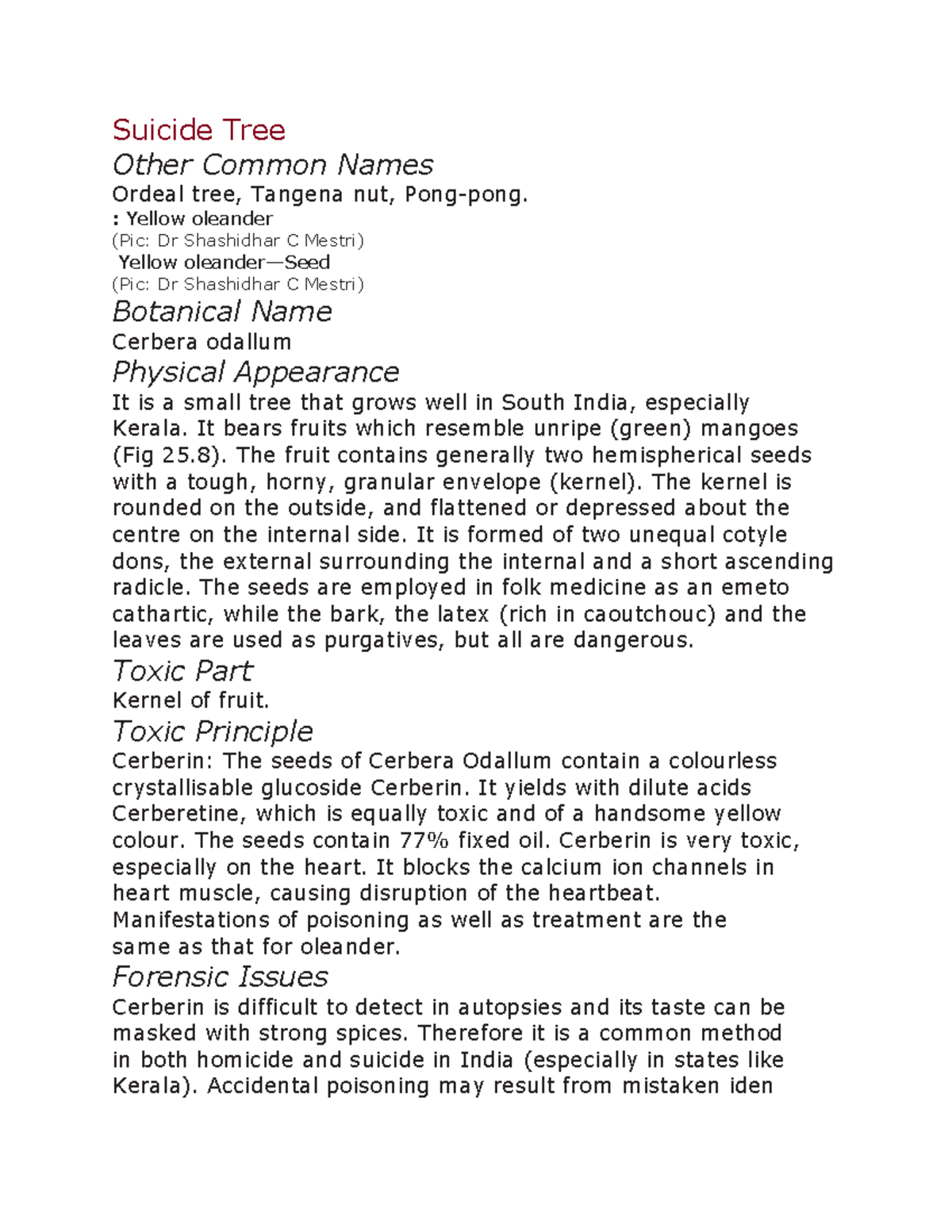 Suicide Tree - Suicide Tree Other Common Names Ordeal tree, Tangena nut ...