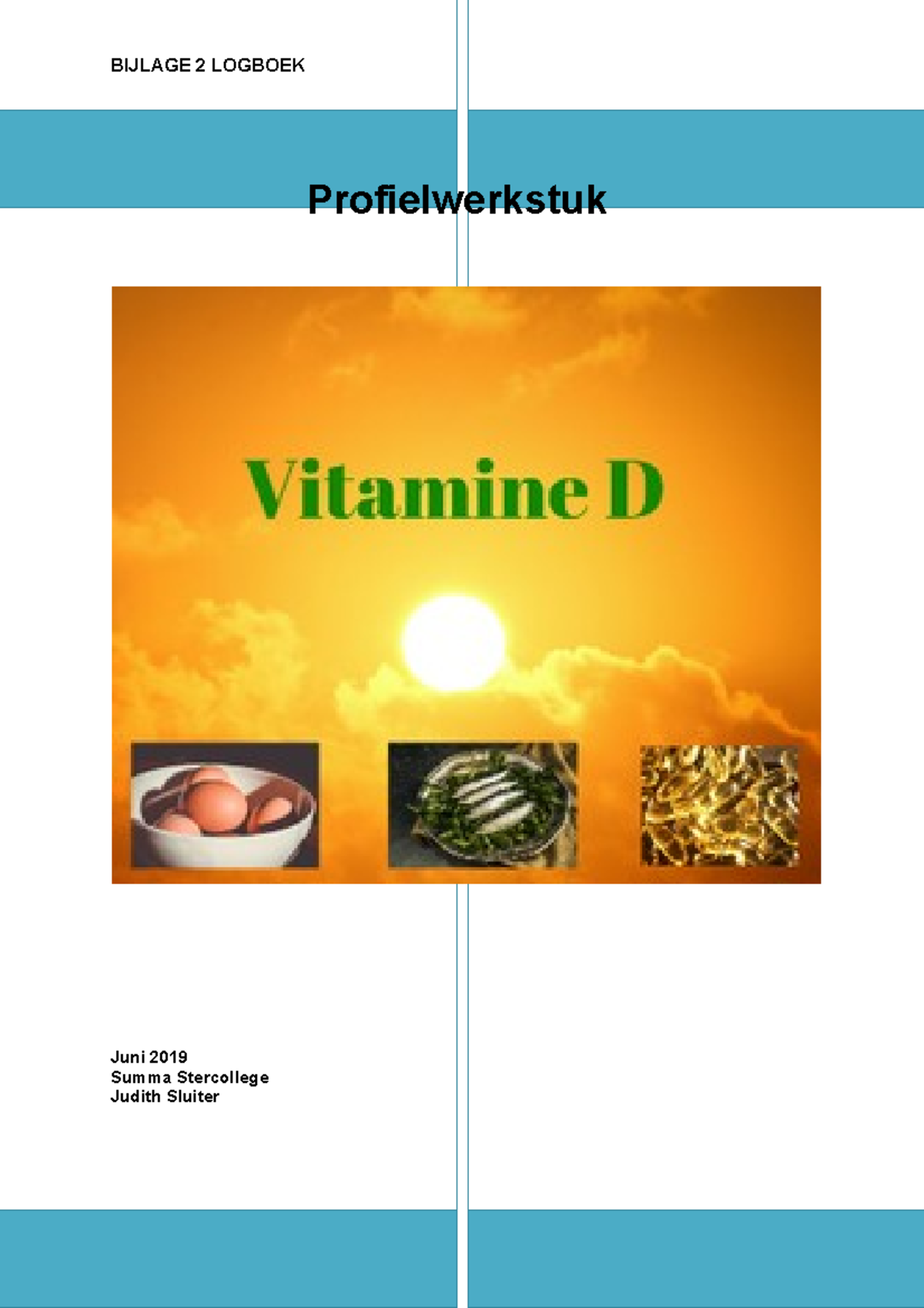 19. Judith Sluiter PWS Vitamine D - BIJLAGE 2 LOGBOEK Profielwerkstuk ...