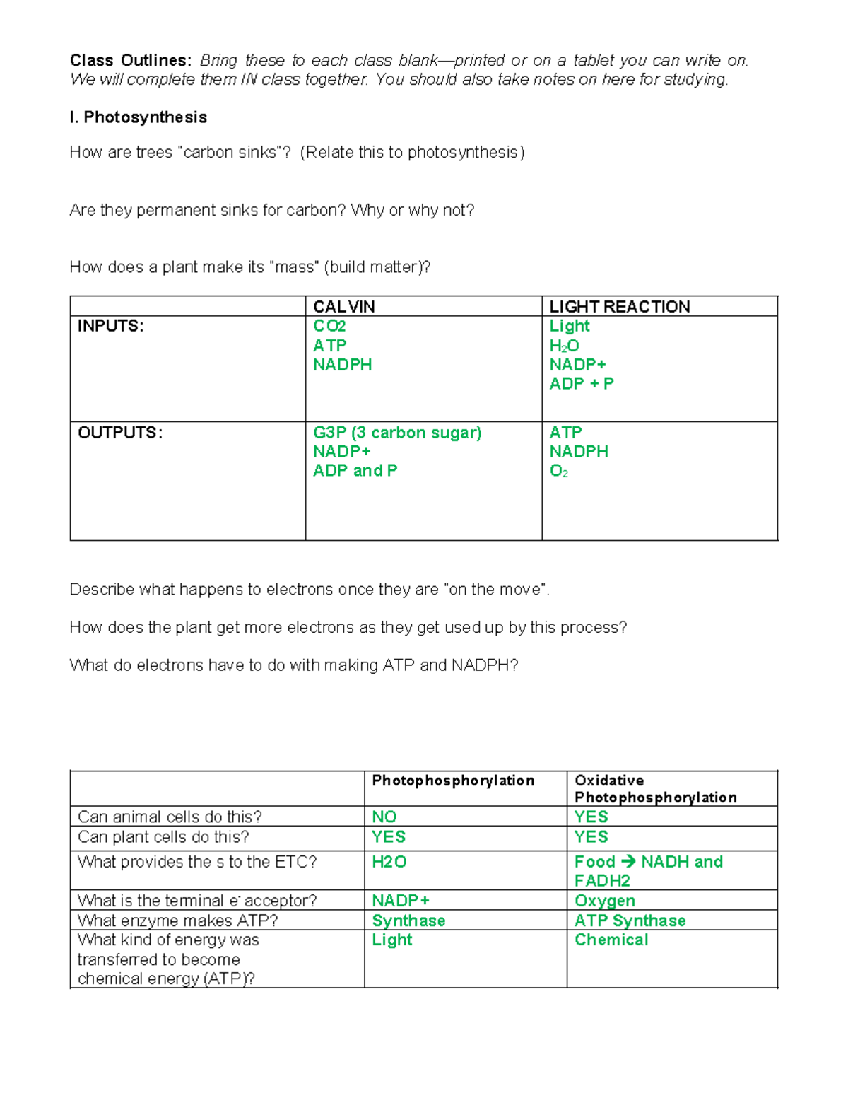 Lesson 8 Class Outline Photosynthesis Class Outlines Bring These To Each Class Blank—printed