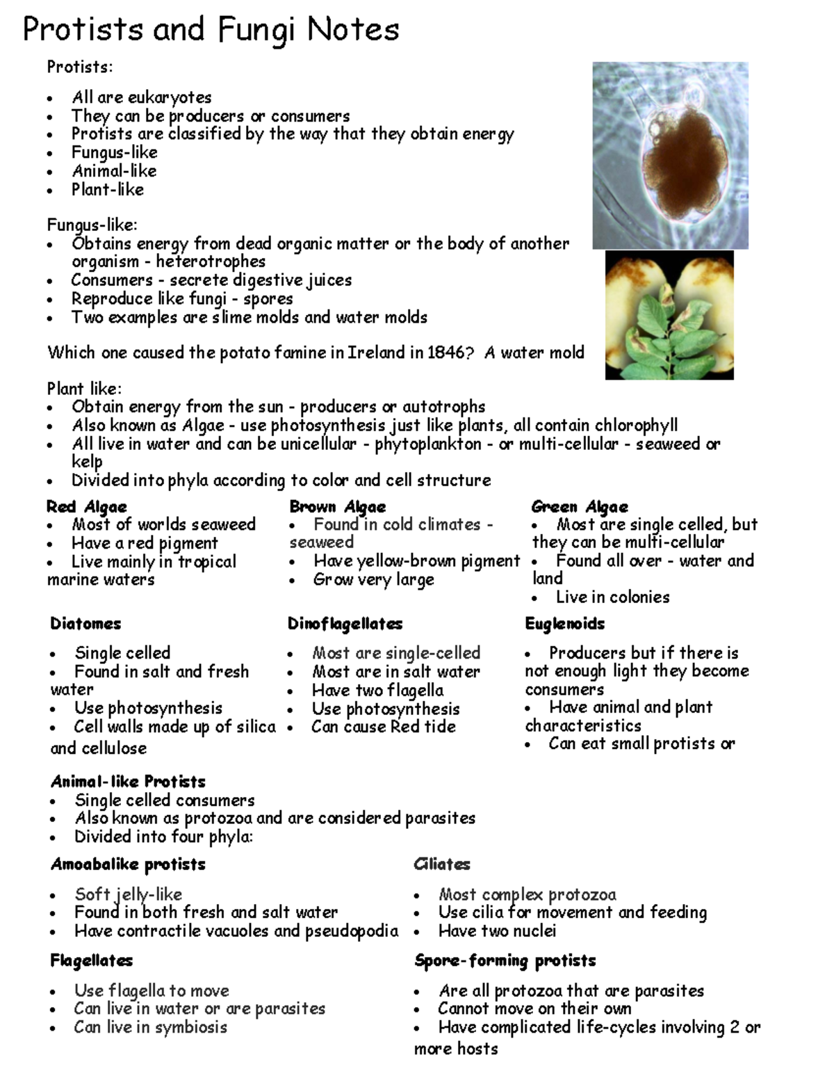 Protists and fungi note 2013 - Protists and Fungi Notes Protists: All ...