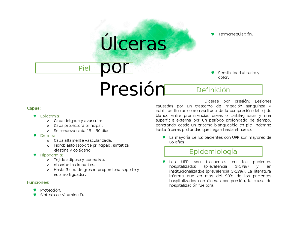 UPP - Capas: Epidermis: o Capa delgada y avascular. o Capa protectora ...