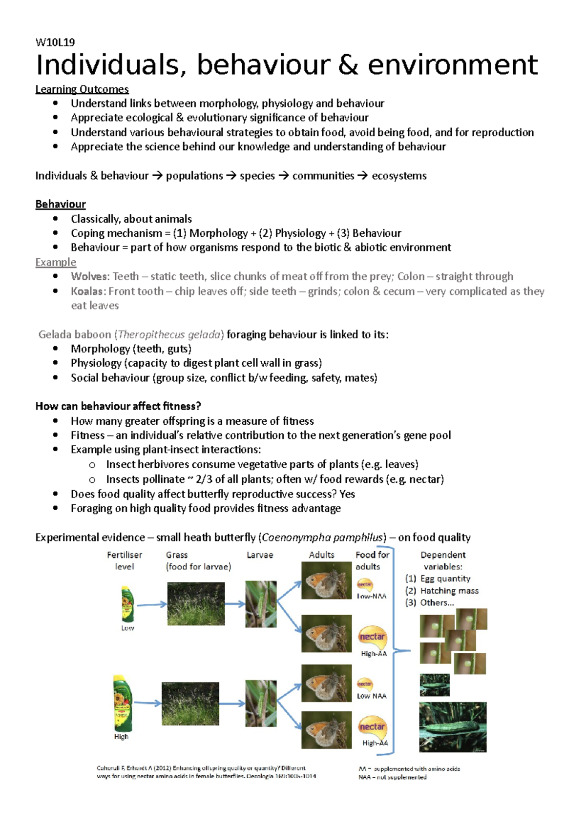 Lecture 19 Individuals, behaviour & environment - W10L19 Individuals ...