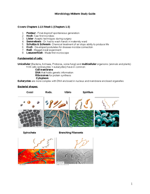 Lab Report – Cell Structure - BIO/290 v Lab Report – Cell Structure In science, reporting what ...