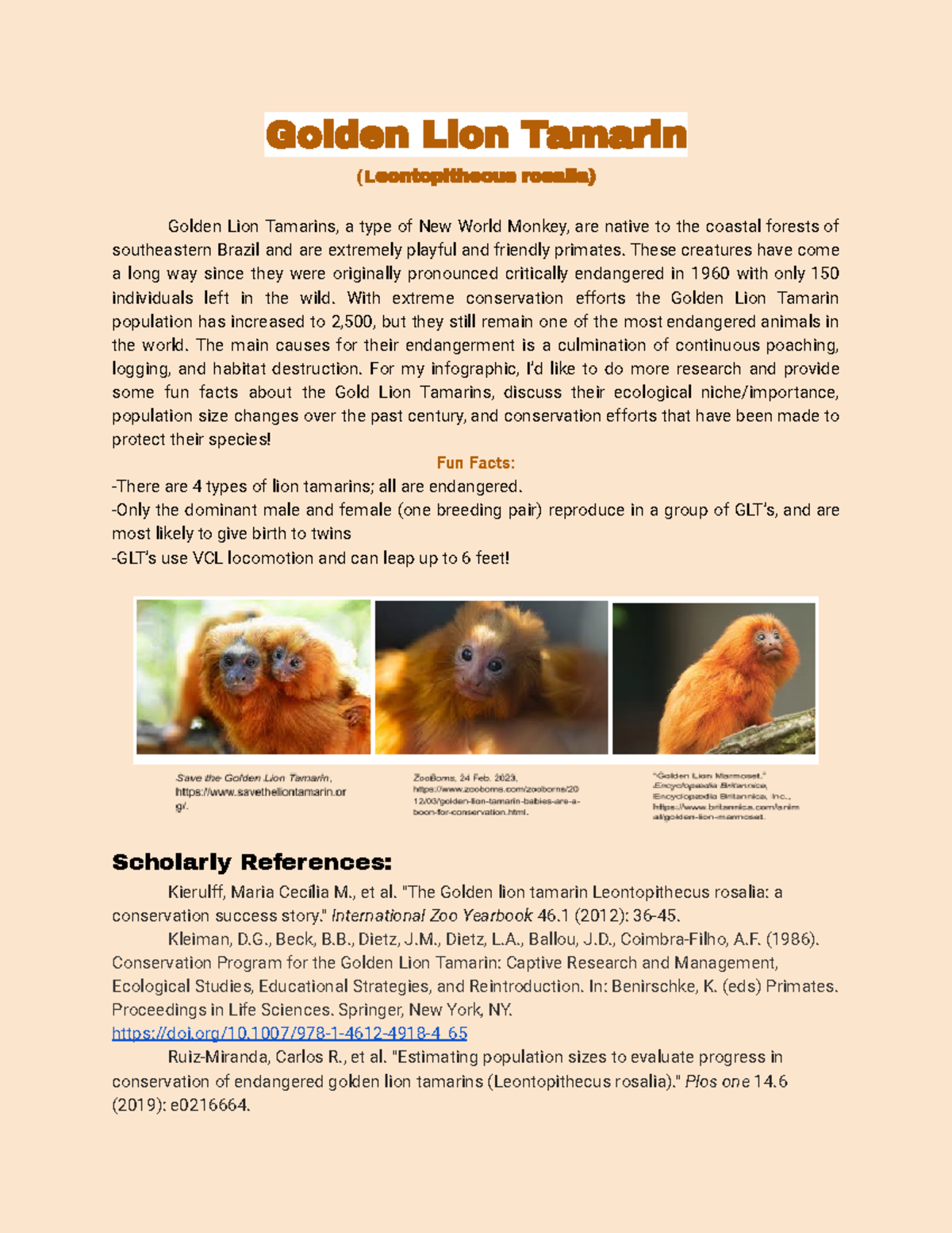 Golden Lion Tamarin Infographic - Golden Lion Tamarin (Leontopithecus ...
