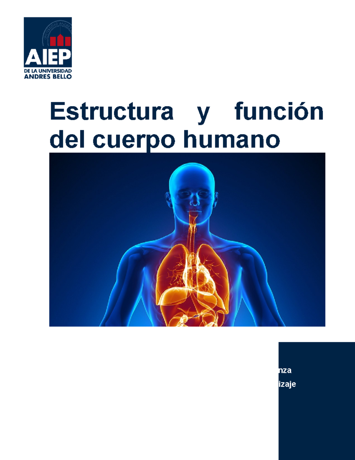 Estructura y funcion del cuerpo humano - Estructura y función del cuerpo humano Nombre del/los ...