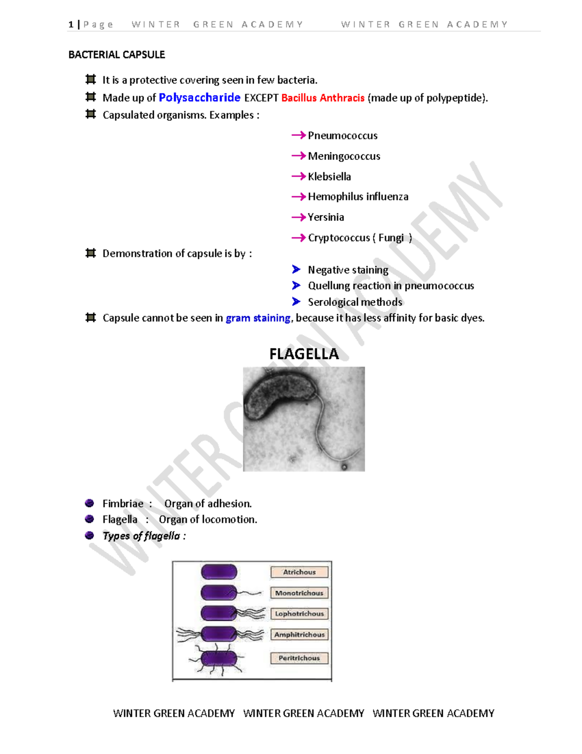 Microbiology -2 - BACTERIAL CAPSULE It is a protective covering seen in ...