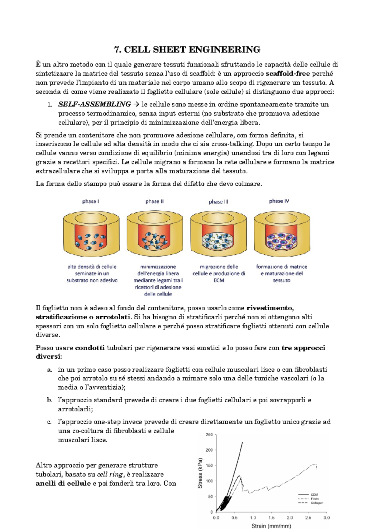7 - CELL Sheet Engineering - 7. CELL SHEET ENGINEERING È un altro ...