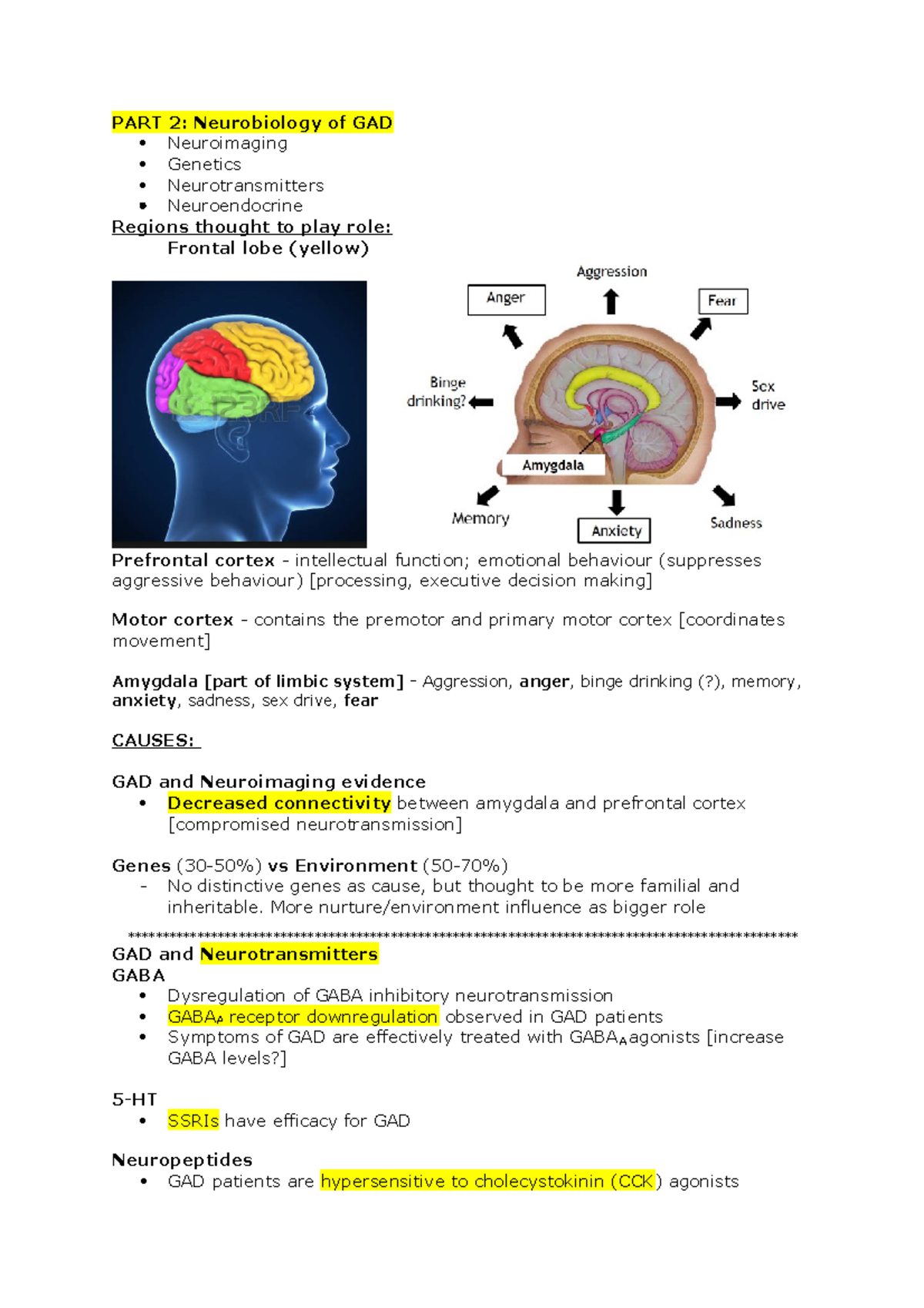 Anxiety lecture PART 2 - PART 2: Neurobiology of GAD Neuroimaging ...