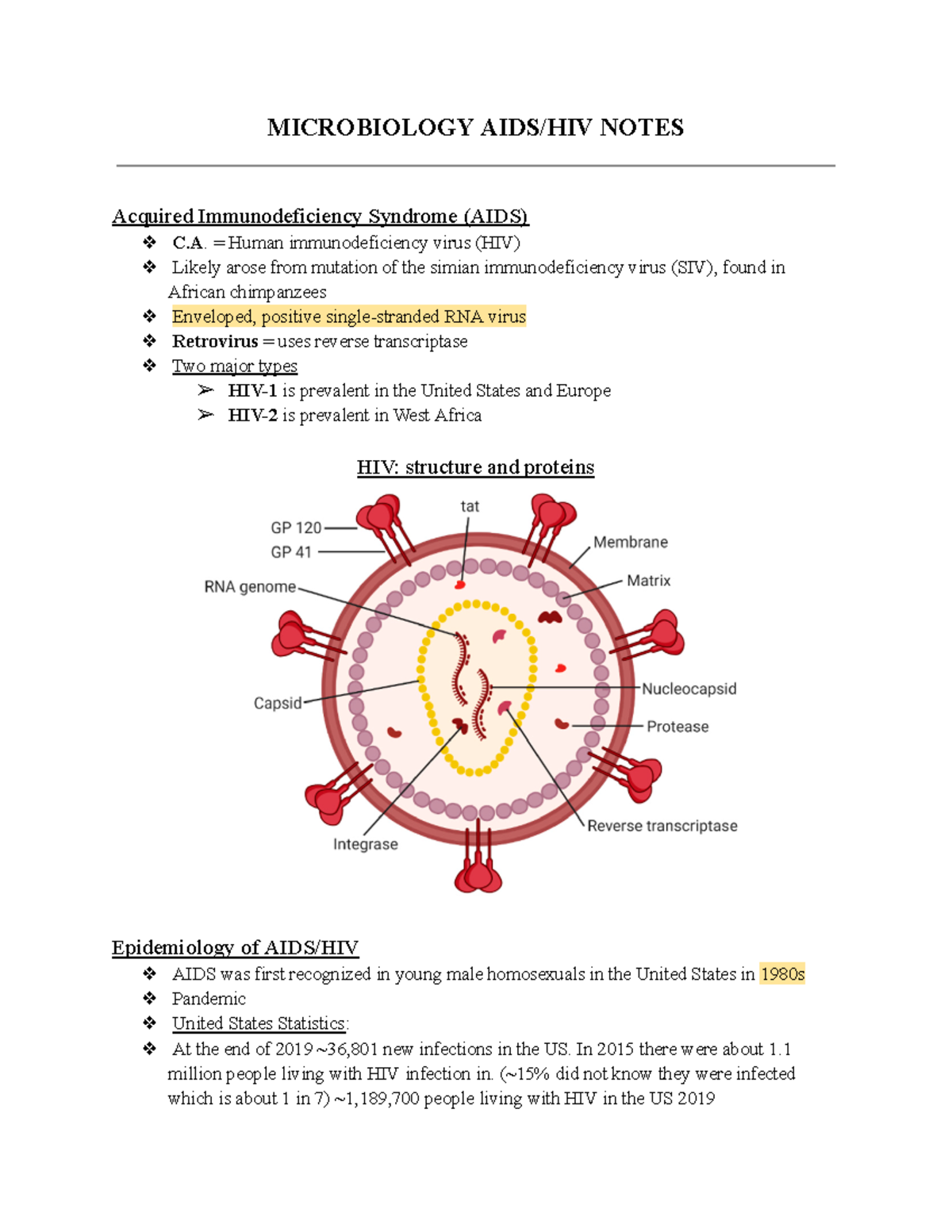 Microbiology AIDS HIV Notes - MICROBIOLOGY AIDS/HIV NOTES Acquired ...
