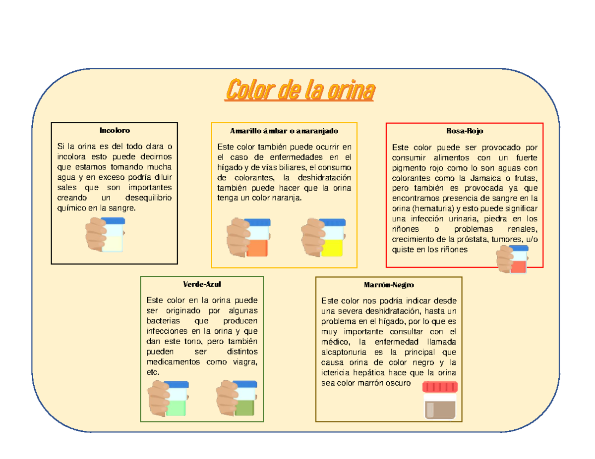 Colores de la orina - Rosa-Rojo Este color puede ser provocado por ...