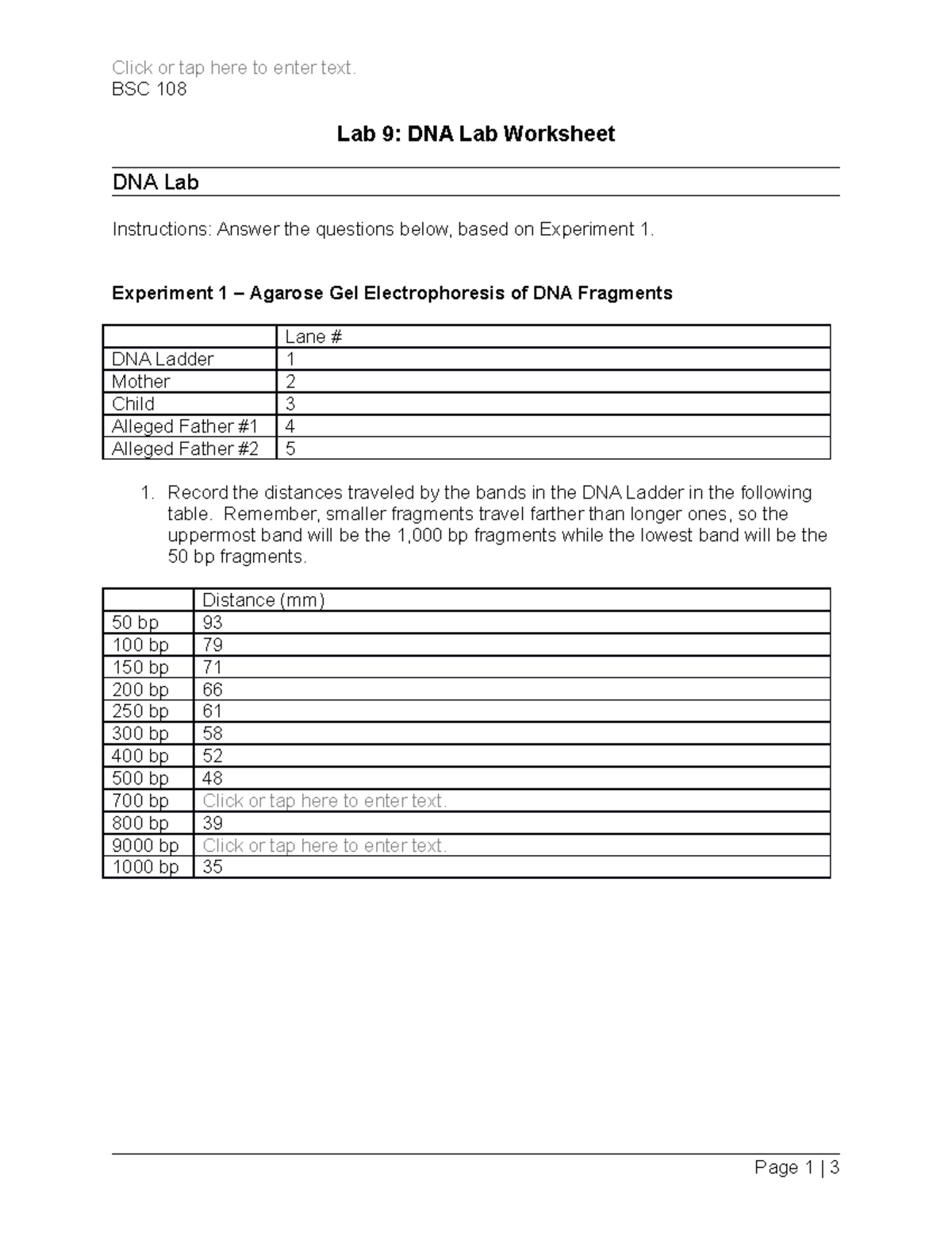 Lab 9 DNA Worksheet - LEcture notes - Click or tap here to enter text ...