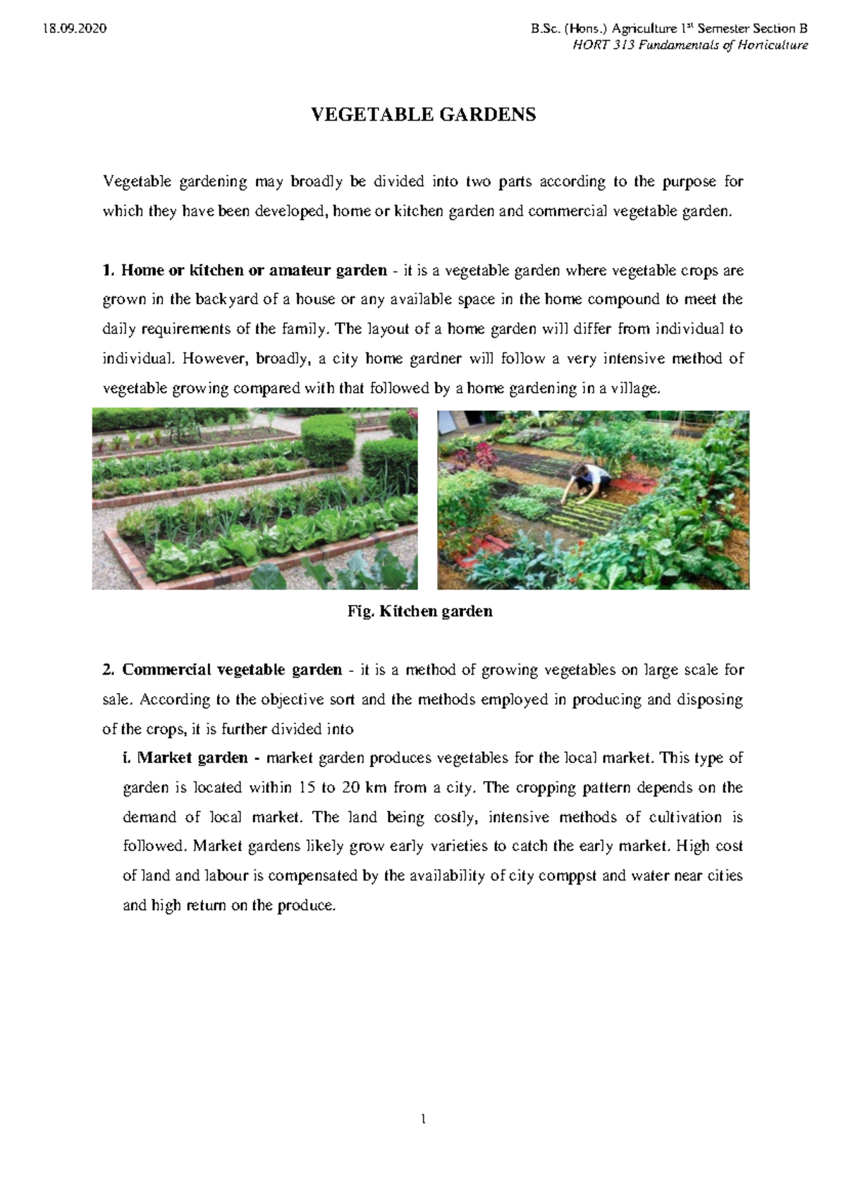 Types of vegetable gardens - HORT 313 Fundamentals of Horticulture ...
