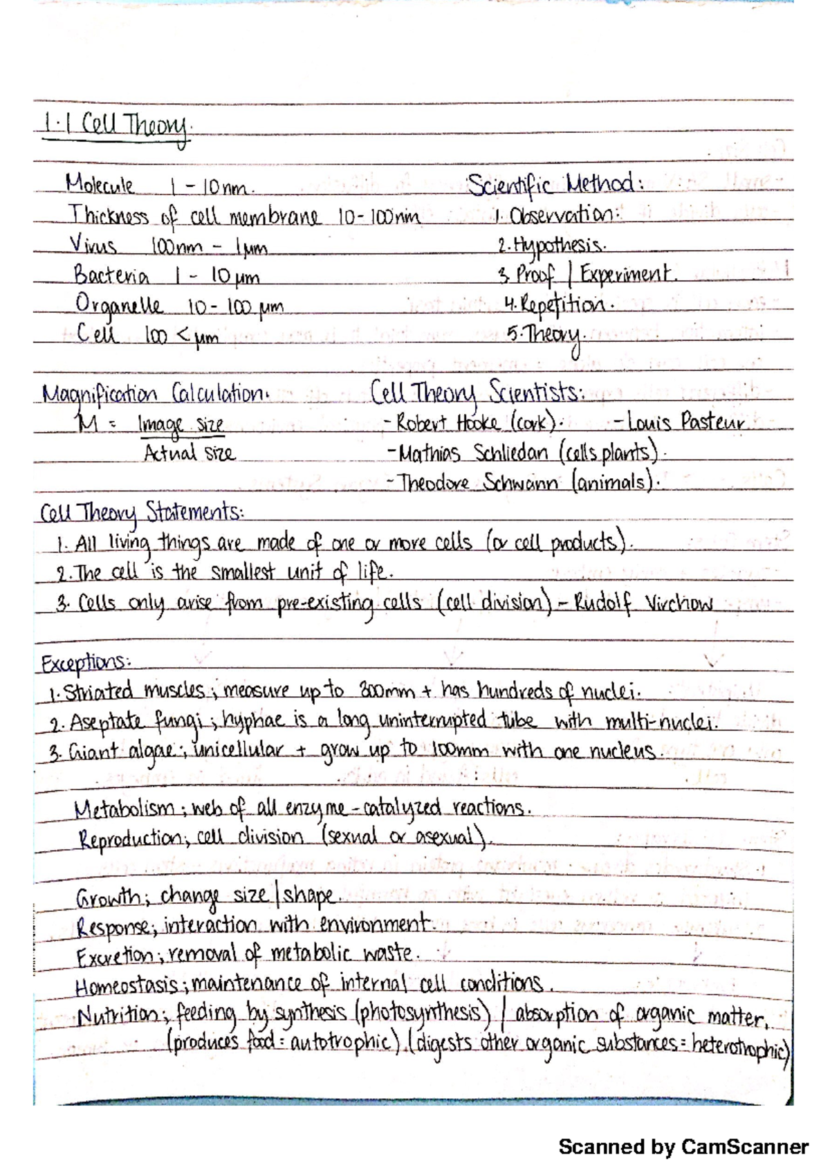 Biology Chapter 1 - International Baccalaureate HL Biology condensed ...