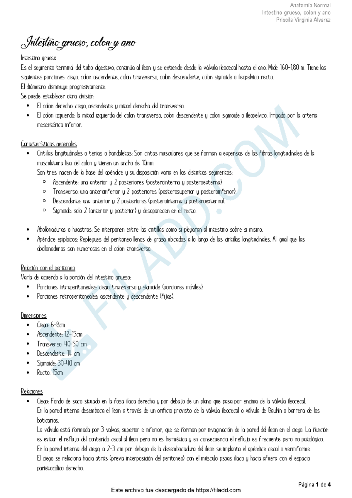 Intestino grueso colon y ano - Intestino grueso, colon y ano Priscila ...