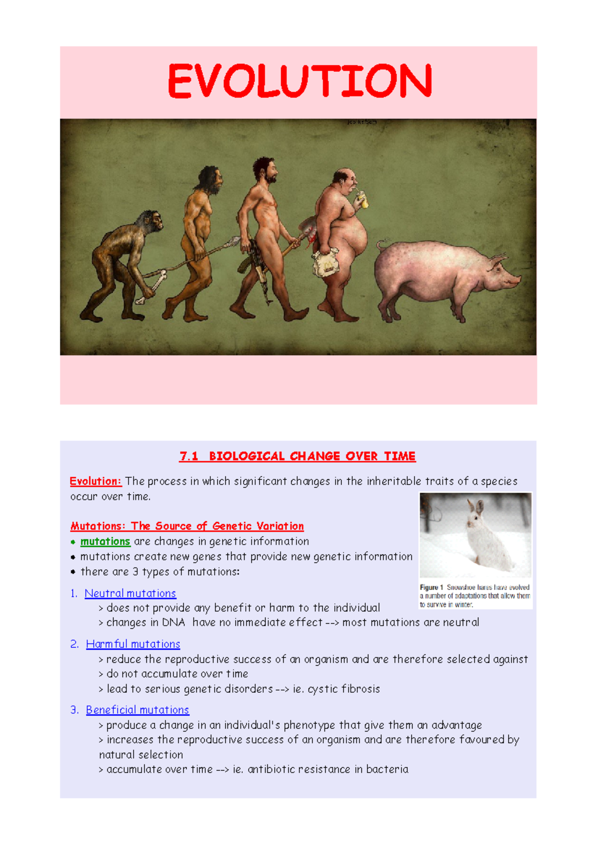 7.1 Biological Change Over Time - EVOLUTION 7 BIOLOGICAL CHANGE OVER ...