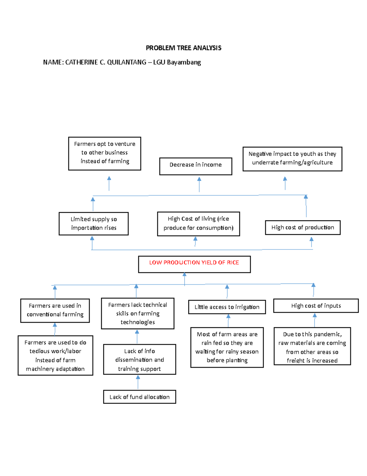 Problem Tree Analysis Bayambang - Auditing in CIS Environment - Xavier ...