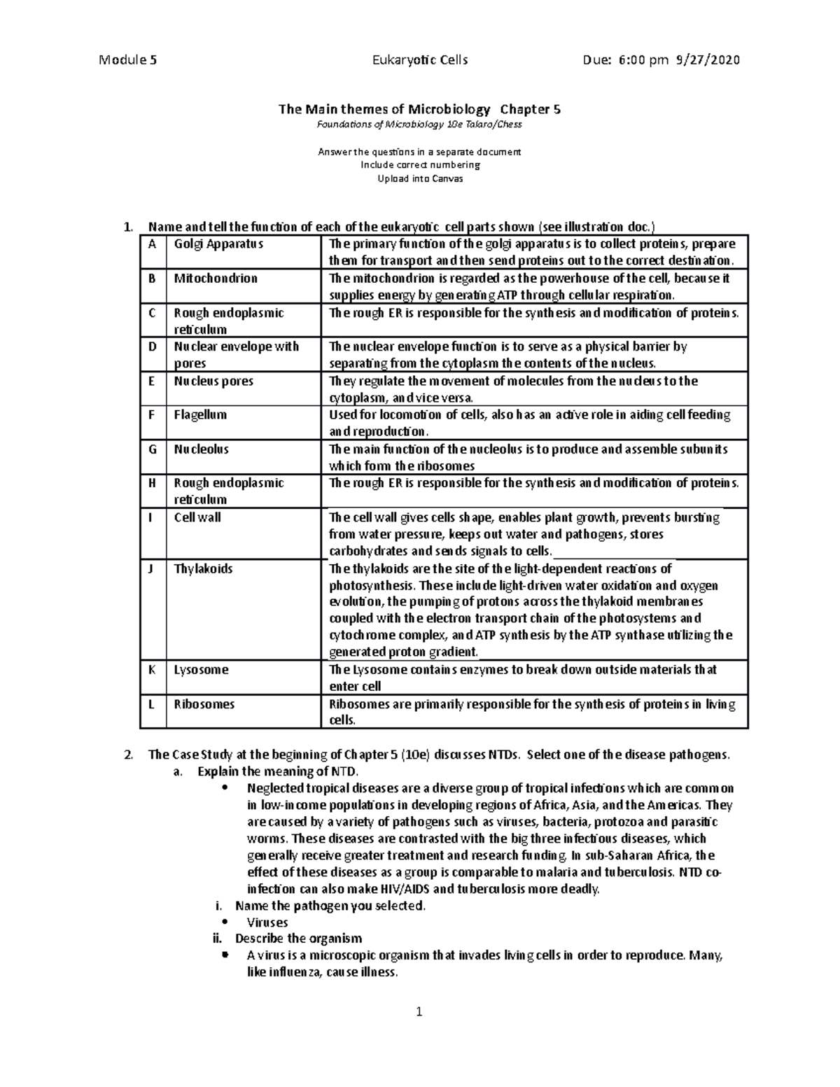 Module 5 Kemp Questions microbiology year 1 - The Main themes of ...