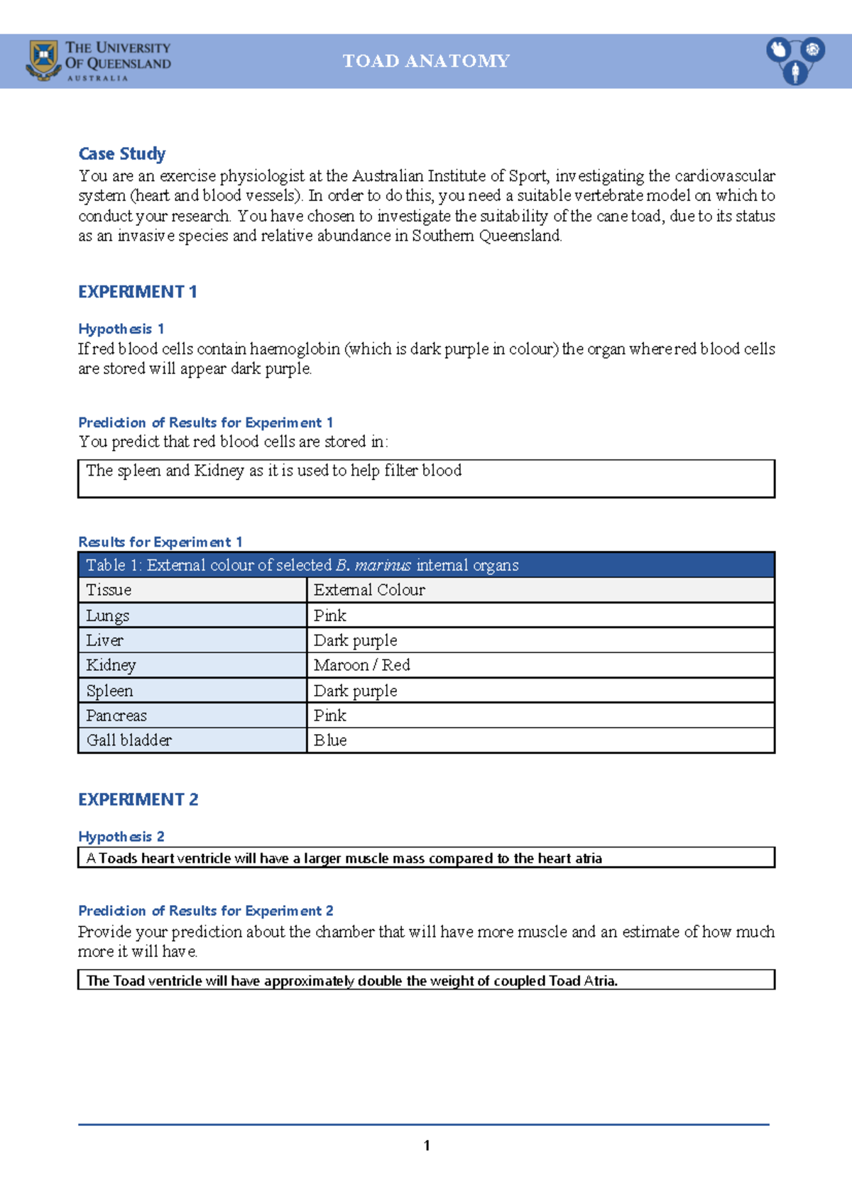 Biol1050 Toad Anatomy Report - Case Study You are an exercise ...