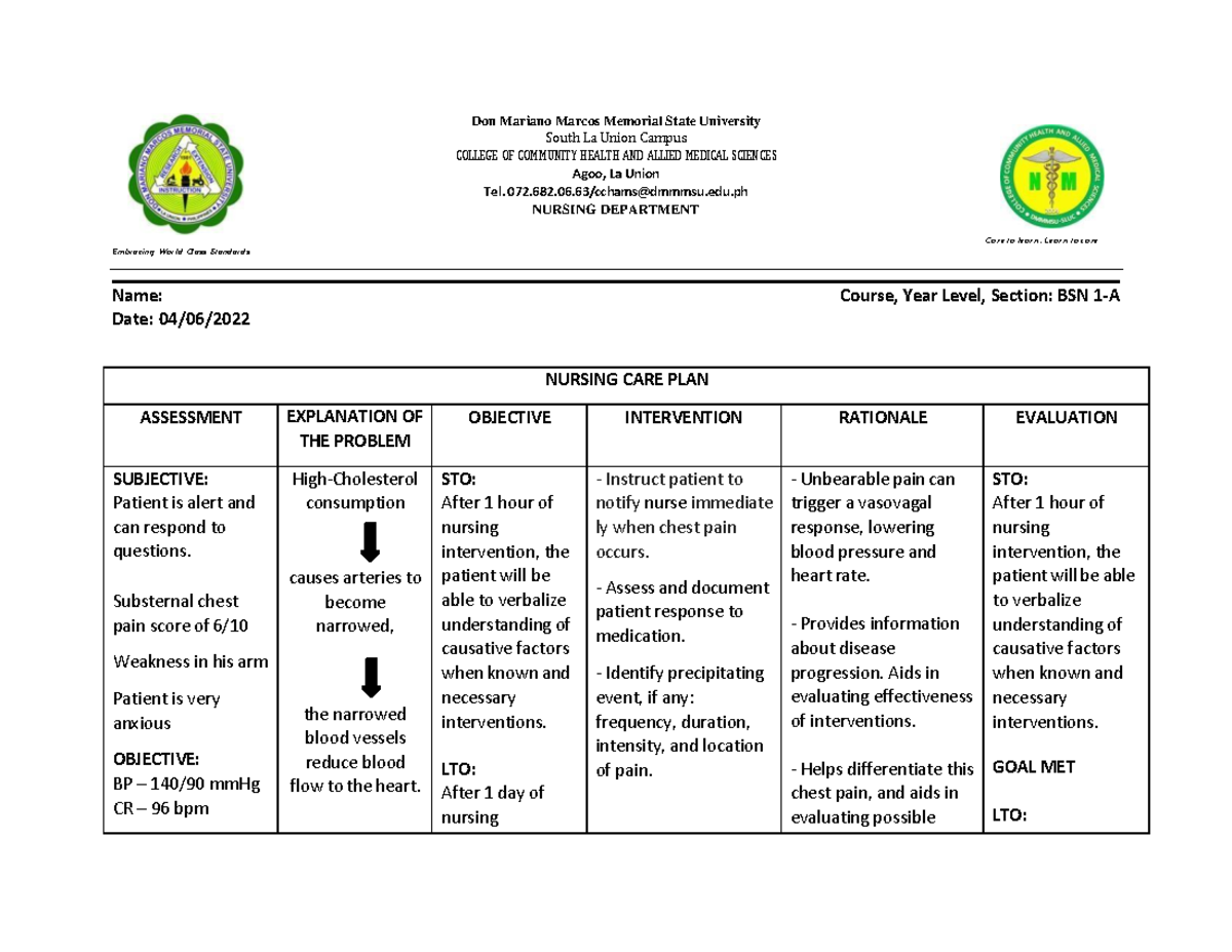 Nursing Care Plan - Acute Pain - Embracing World Class Standards Don ...