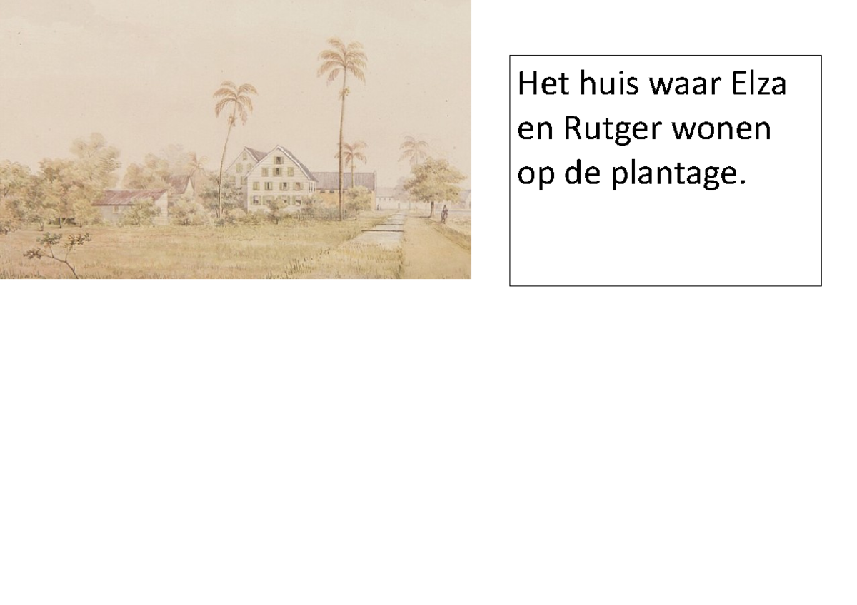 Nederlands boek hoe duur was de suiker - Het huis waar Elza en Rutger ...