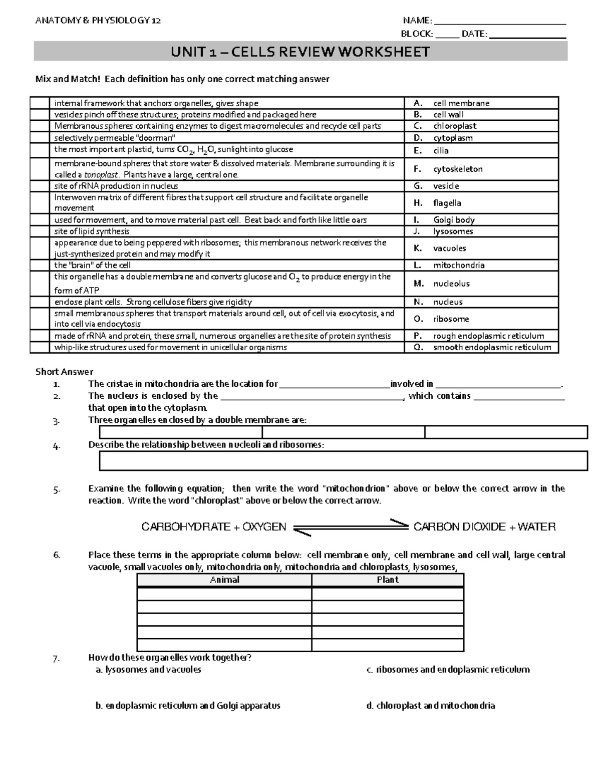 Worksheet - Cell - Review - ANATOMY & PHYSIOLOGY 12 NAME: BLOCK ...