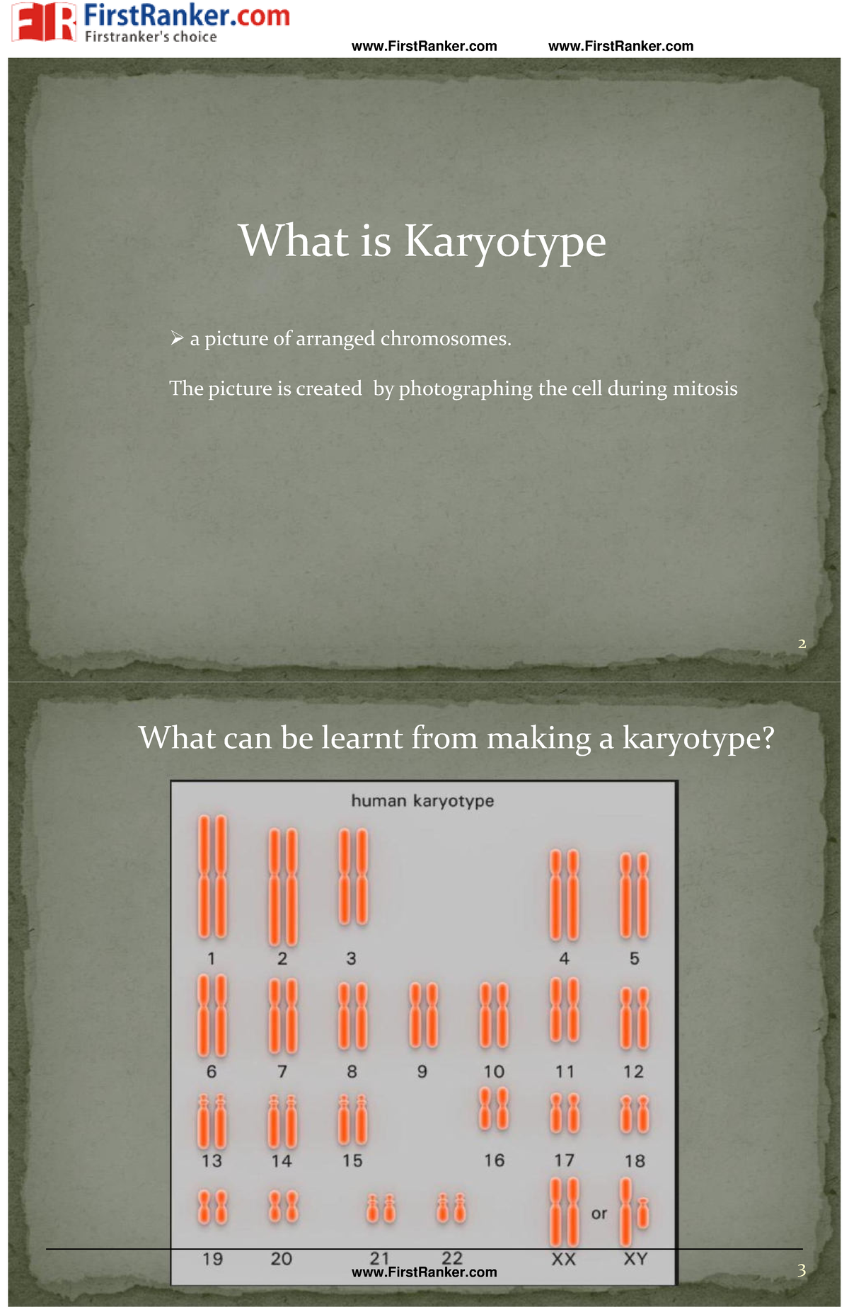 MBBS Biochemistry Notes Topicwise Basic Genetics BG - FirstRanker What ...