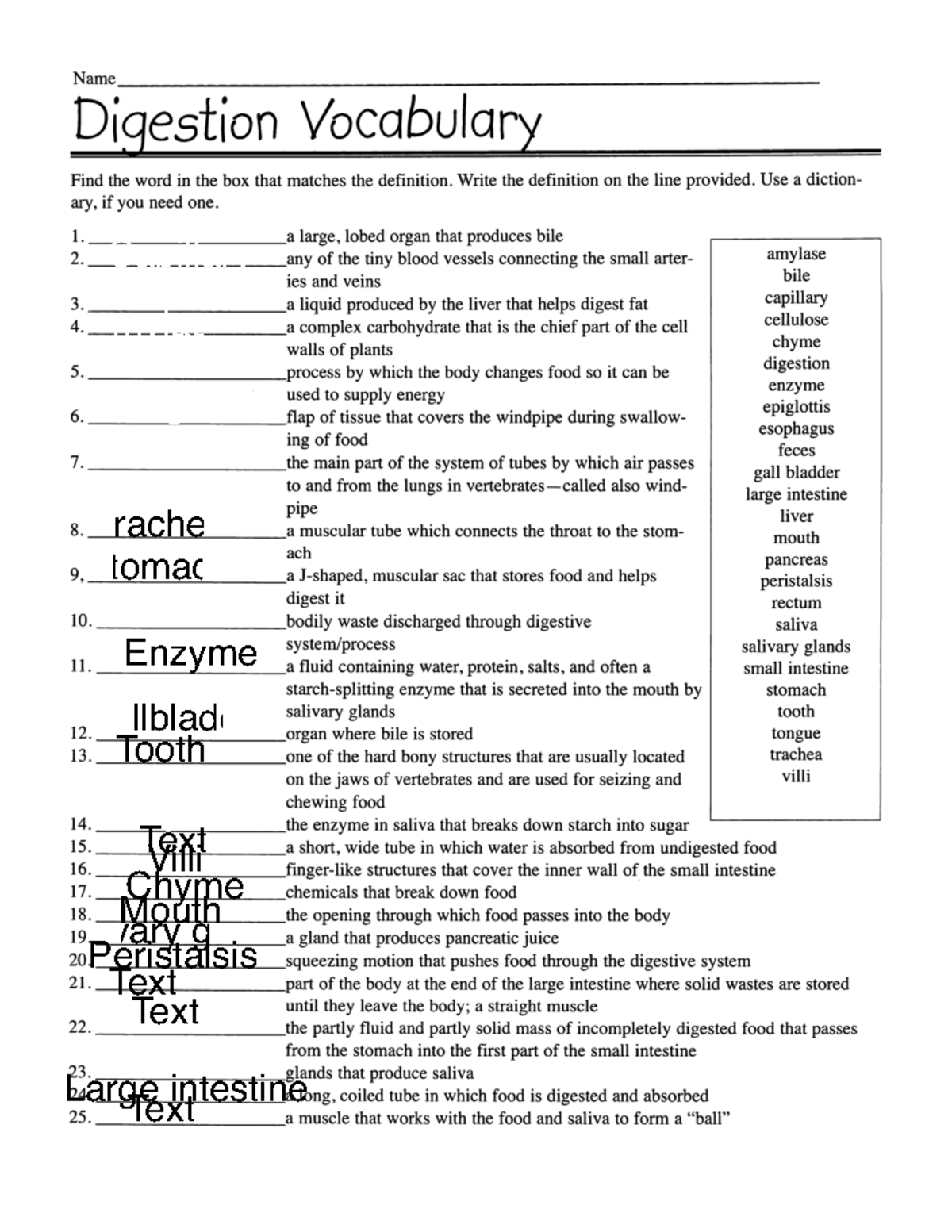 &&Digestion Vocabulary - NR-228 - Studocu