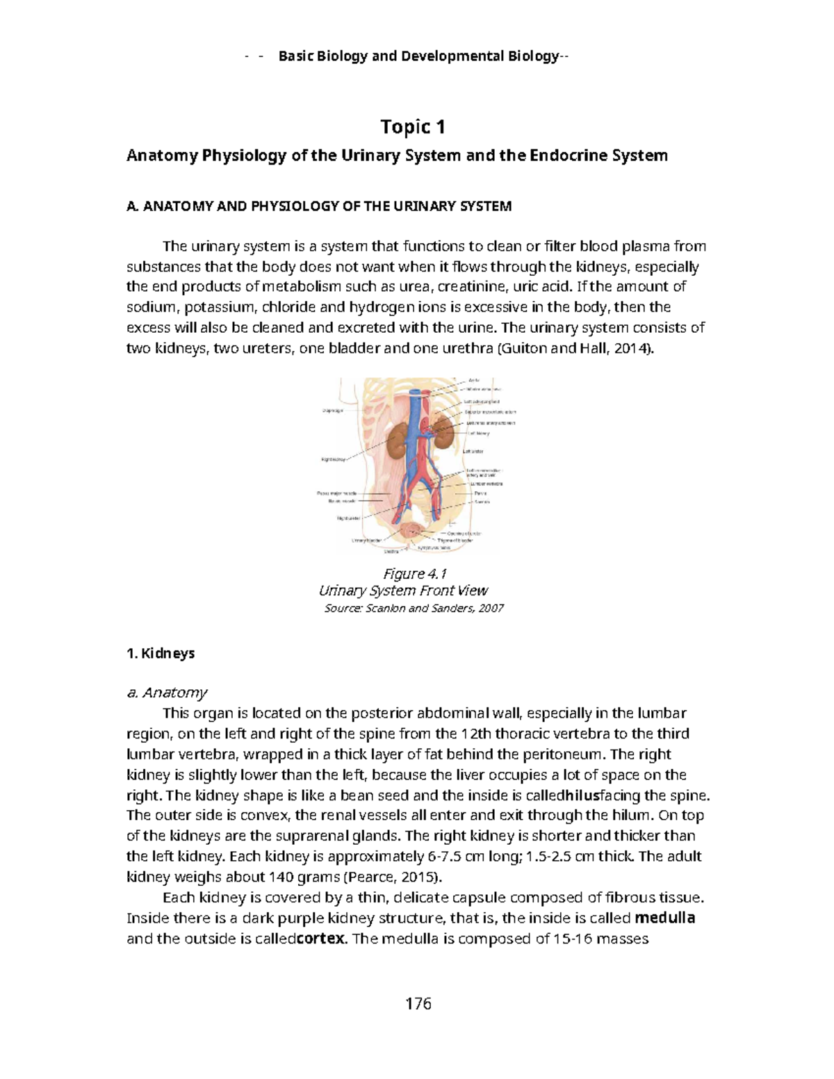 Mc Kinney Bio Notes Senior - Topic 1 Anatomy Physiology of the Urinary ...