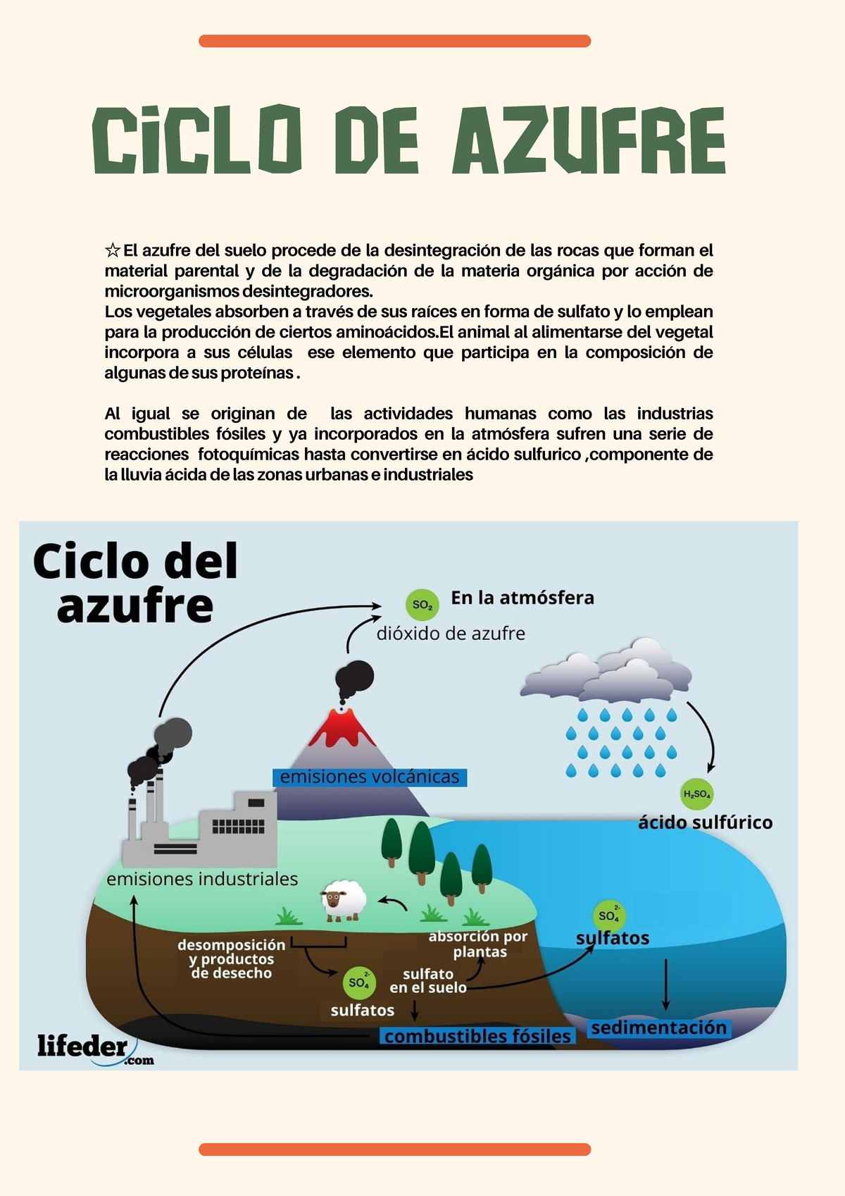 Ciclo de azufre - Ciclo de azufre ☆ El azufre del suelo procede de la desintegración de las ...