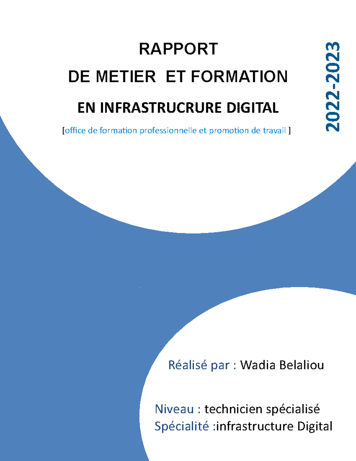Blue-annual-report-metier et formation ID - RAPPORT DE METIER ET ...
