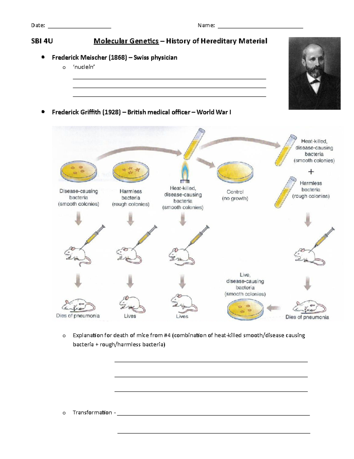 01a-DNA-structure - guided text reading - Date ...