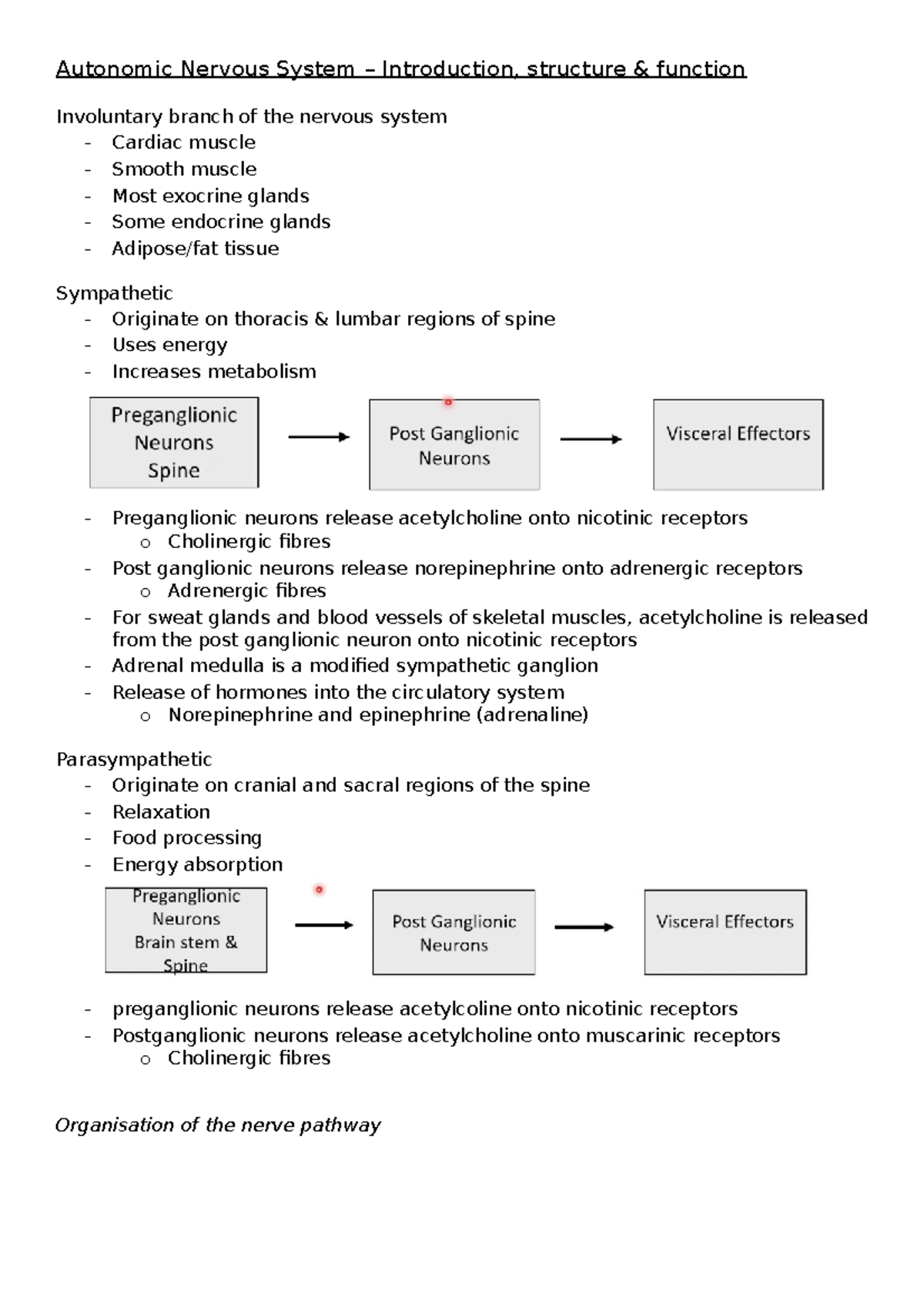 HP101 Week 2 - Notes for 101 week 2 - Autonomic Nervous System ...