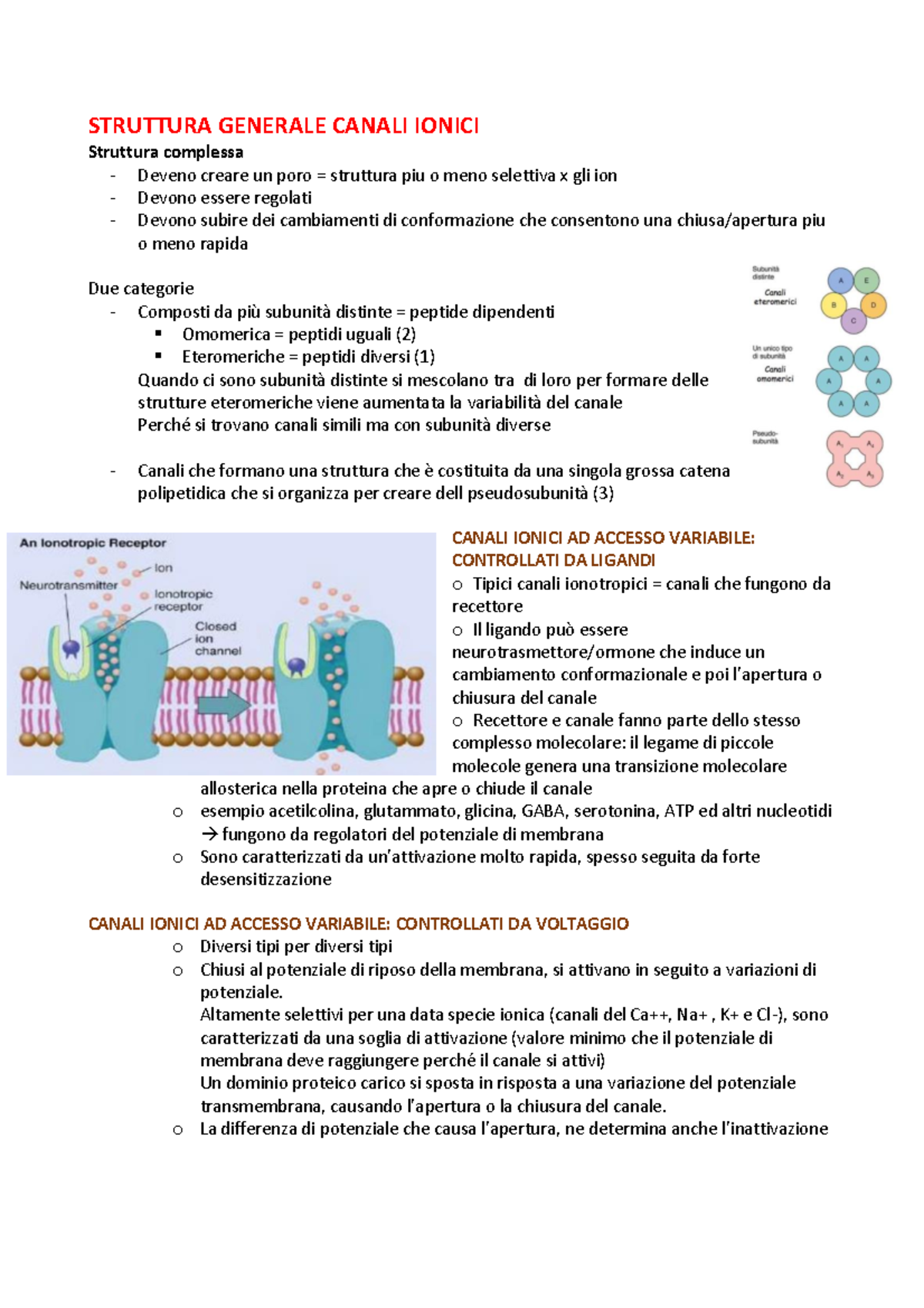 Appunti Biochimica - STRUTTURA GENERALE CANALI IONICI Struttura ...