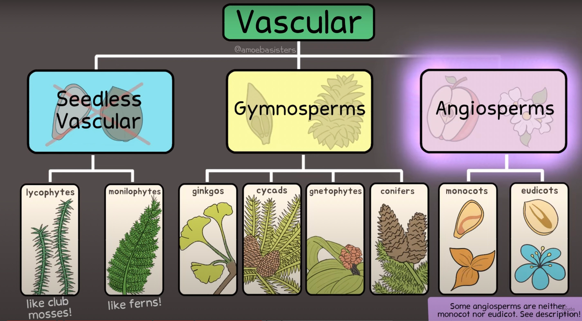 Lecture 6 Notes - BIOL14120AAA - Studocu