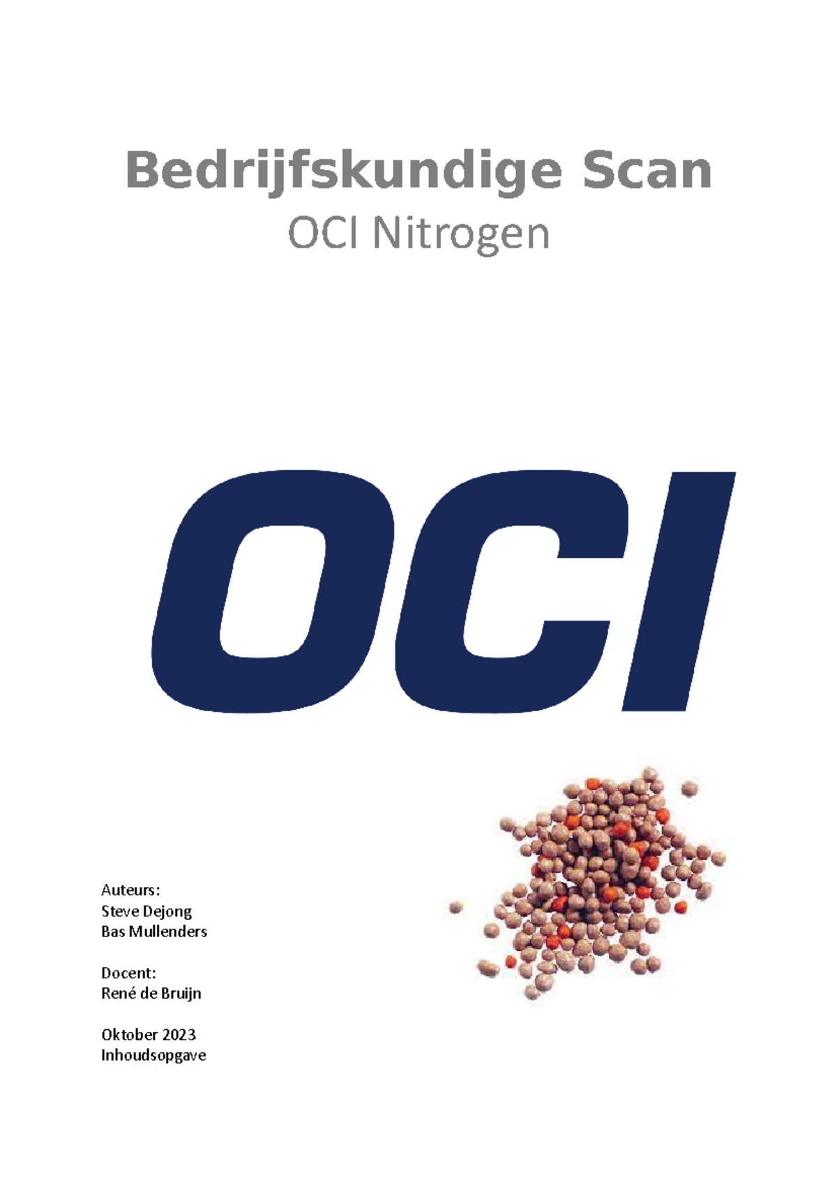 Bedrijfskundige Scan 23-24 (002)nieuw - Bedrijfskundige Scan OCI ...