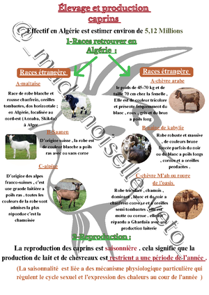 Anatomie et fonctions de l’appareil reproducteur chez la vache ...