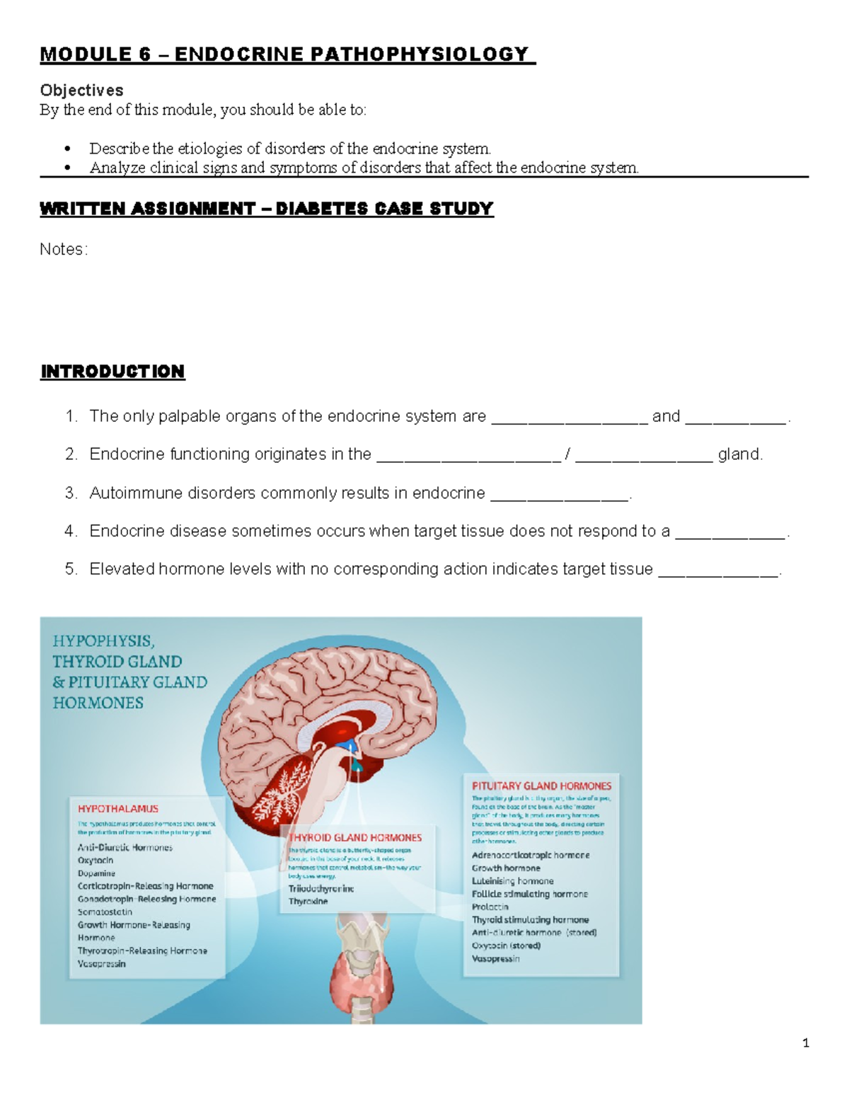 Module 6 outline Pathophysiology outline- Endocrine system - MODULE 6 – ENDOCRINE ...