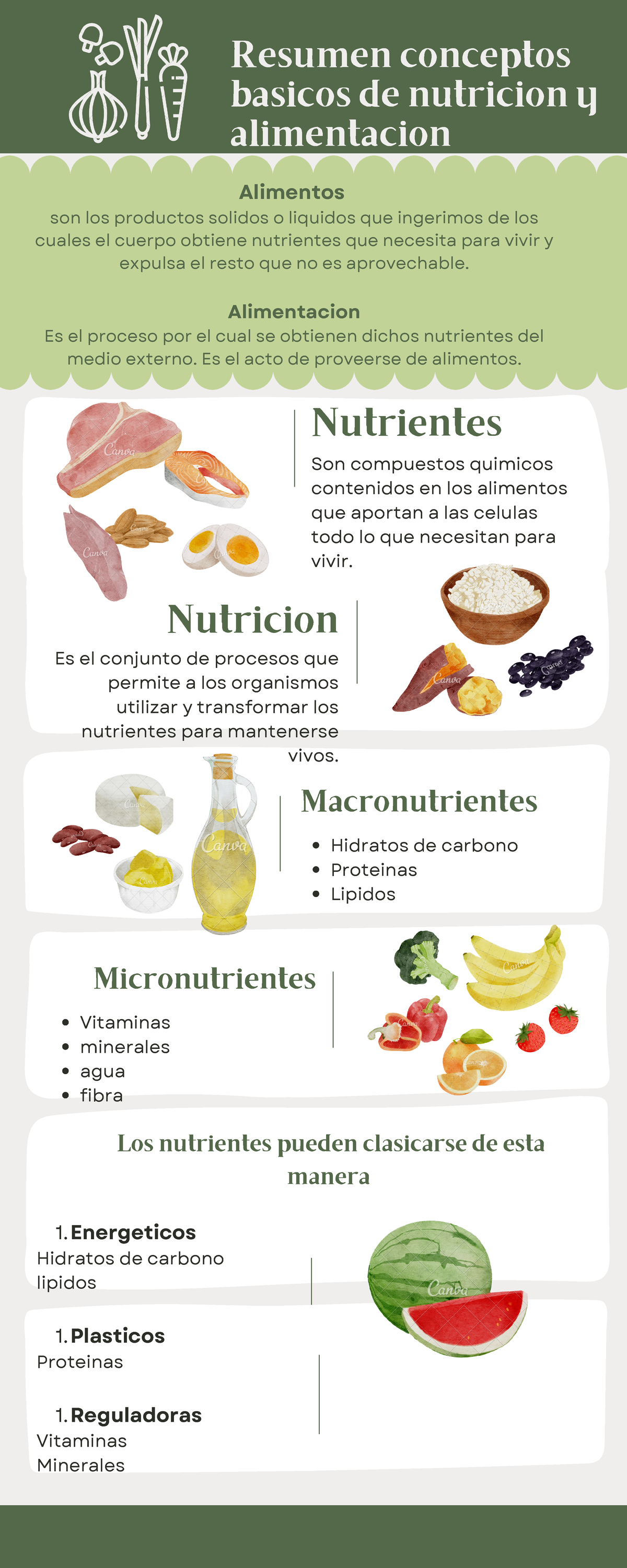 Resumen conceptos basicos de nutricion y alimentacion - Resumen ...