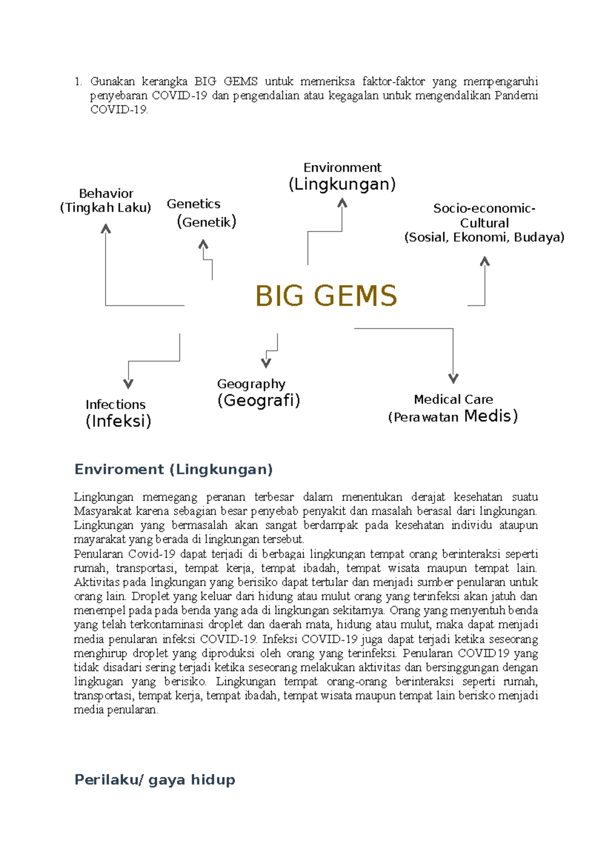 BIG GEMS - big gems - Gunakan kerangka BIG GEMS untuk memeriksa faktor-faktor yang mempengaruhi ...
