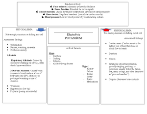 Electrolyte Imbalances Concept Map water/sodium/potassium/calcium - _____________________ - Studocu