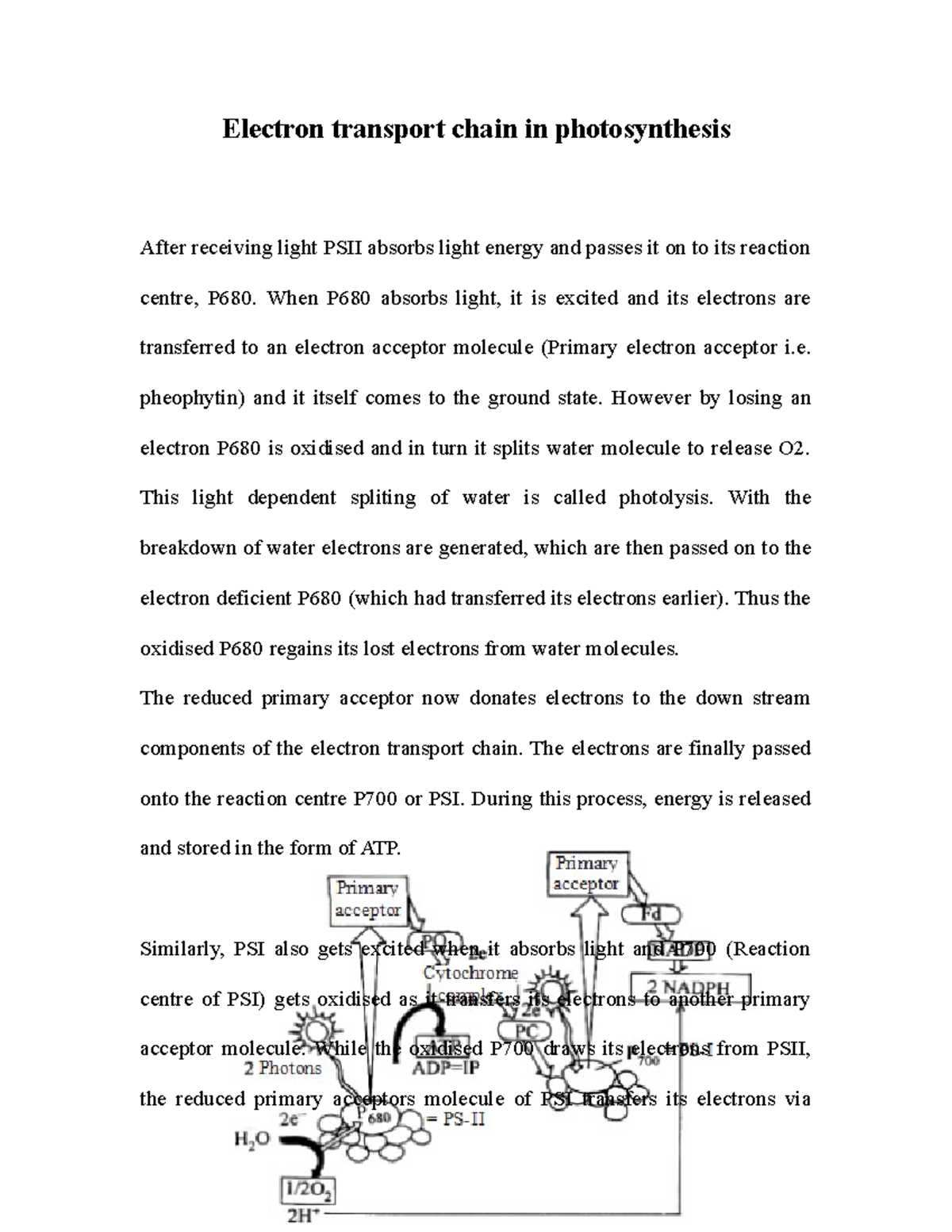 Electron transport chain in photosynthesis - When P680 absorbs light ...
